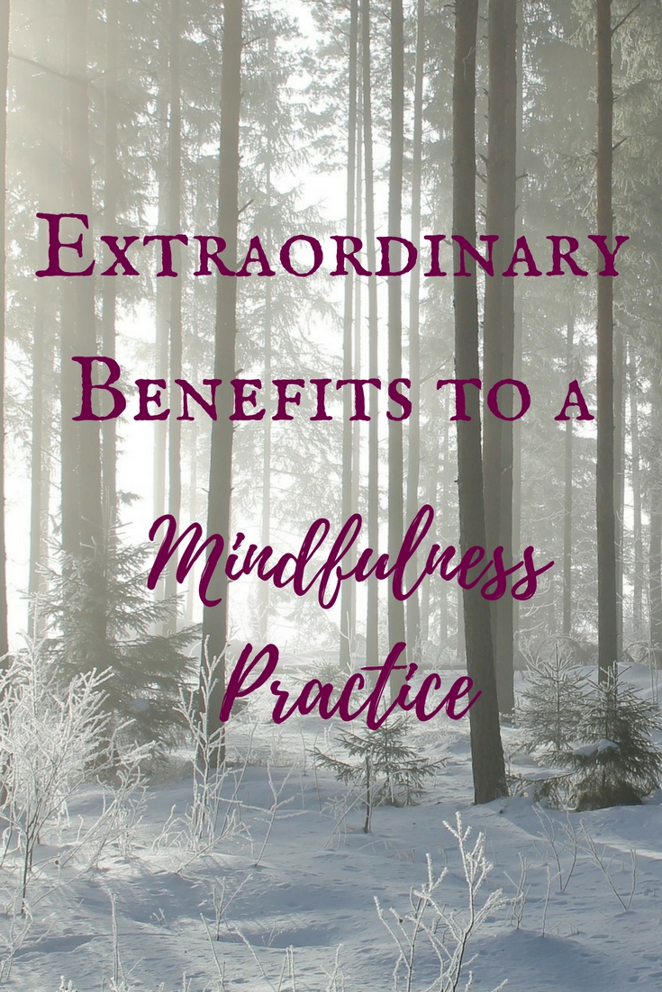 The "Purpose" of Mindfulness » John Carbone MD